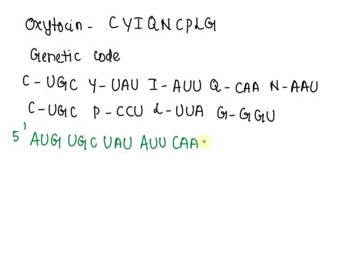 Solved Oxytocin Is A Small Peptide Hormone It Contains A Nine Amino Acid Sequence Shown Below