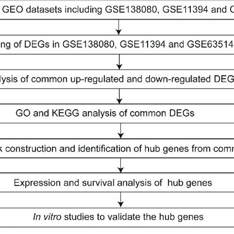 Workflow Of The Bioinformatics Analysis And Experimental Validation Download Scientific Diagram