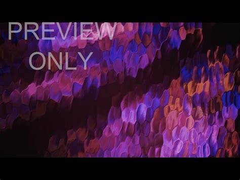 Lucent Collection Motion Worship WorshipHouse Media