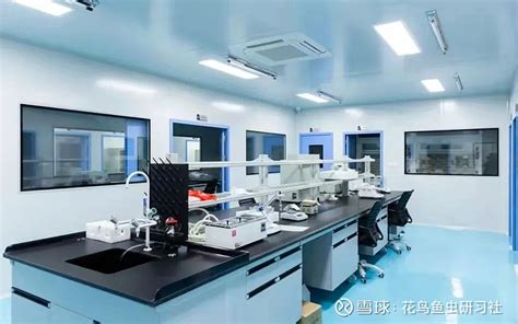 为什么这些宠物企业拿钱之后都去建厂了？ 导读宠物企业之所以大肆扩产，关键原因还在于能赚钱。哪怕大家都知道未来市场一定是品牌的天下，但还是抵不过