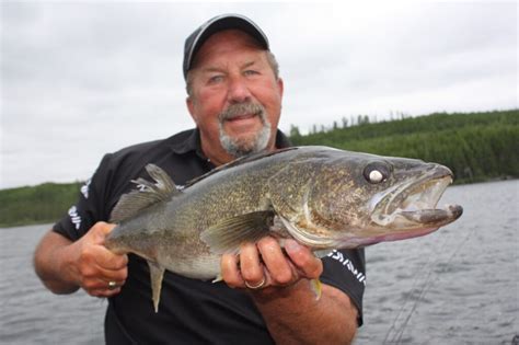 Fall ‘eye Jigging Tips With Tom Neustrom Virtual Angling