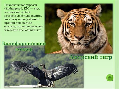 Вымирающие виды животных презентация онлайн