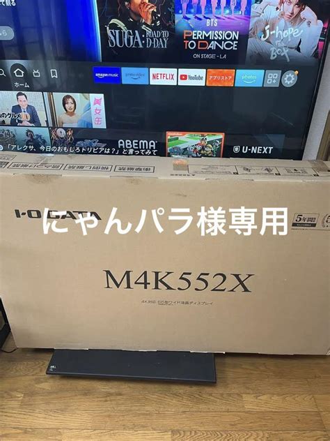 【人気商品】 I・o Data アイ・オー・データ Web限定モデル 4k対応＆広視野角adsパネル採用 55型ワイド液晶ディスプレイ Ex