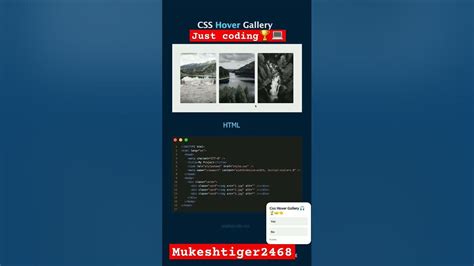 Css Hover Gallery Coding🏆💻 Html Css Js Viralvideo Shorts🏆tranding🎓🥉🏆supercoder