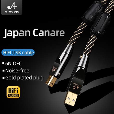 Hifi Usb สายเคเบิลยูเอสบีโอทีจีชนิด A ถึง B สาย Usb 6n Ofc Type C To
