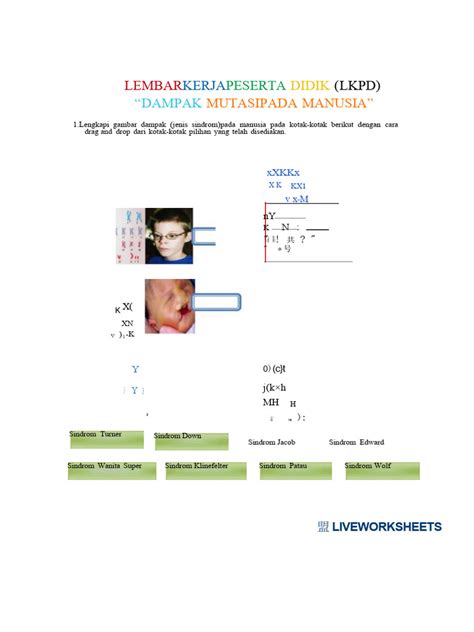 Dampak Mutasi Genetik Pada Manusia Pdf