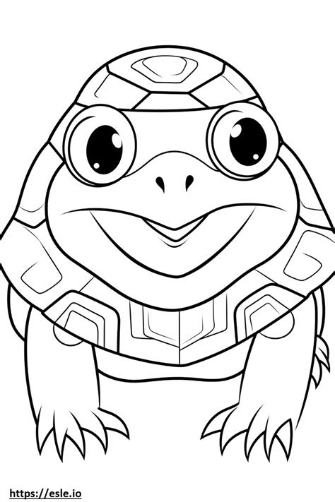 Turtle Box Coloring Pages Turtles Ornate Drawing Printable Snapping