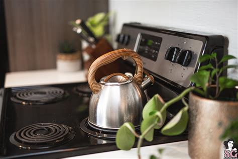 Redqueen Photo Album Whats The Tea Intporn Forums