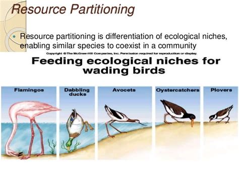 Community Ecology