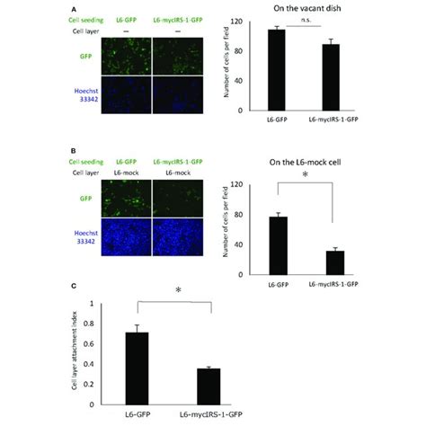 A Proposed Classification For Dsd Download Table