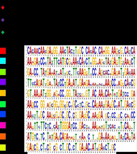 Gene Structure Comparisons And Multiple Em For Motif Elicitation Meme Download Scientific