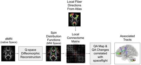 Diagram Of The Connectometry Analysis Process The Diffusion Mri Dmri