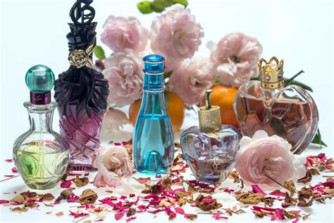 Los cinco perfumes más vendidos de la historia Just Be México