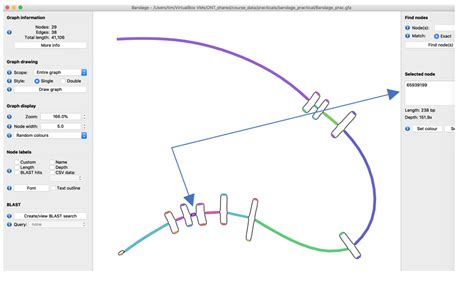 assembly improvements using bandage long read long reach