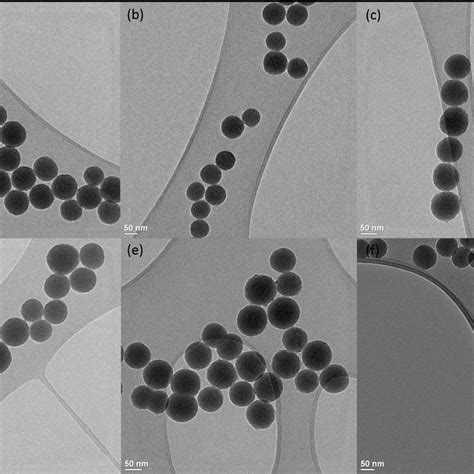 A Scanning Electron Microscope Image Of A Titanium Dioxide Replica