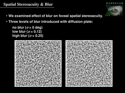 Why Is Spatial Stereoacuity So Poor Ppt Download