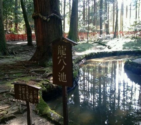 八大竜王社滋賀県大津市石山寺内 サロンド吉田荘通信