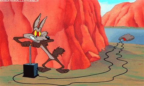 Wile E Coyote  Molichina