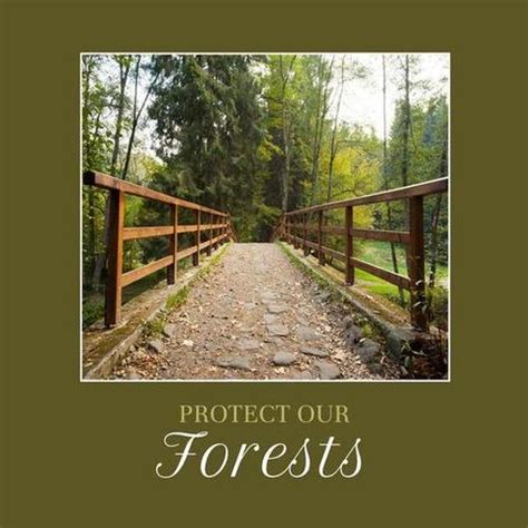 Free Forest Conservation Templates Pikwizard