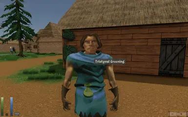 HD Enhanced At Daggerfall Unity Nexus Mods And Community