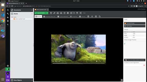 Bug Video Thumbnail Is Not Generated · Issue 13337 · Pimcore