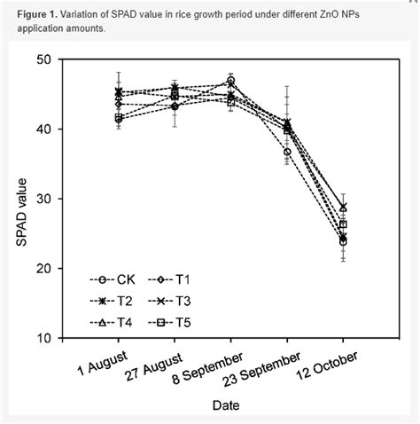 application of nano zinc oxide to improve rice yield and quality