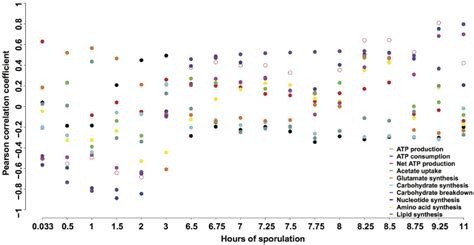 Evaluation Of Objective Functions Using The Meiosis Specific Network