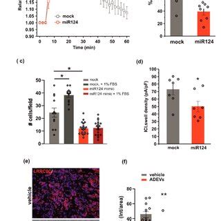 MiR124 Involvement In ADEVs Mediated Effects On GL261 Cells A Time