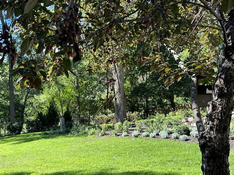 Garden And Landscape Design Samanthas Gardens Garden Landscape