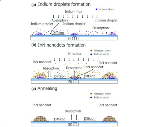 The Schematic Diagrams Of A In Droplets Formation B Inn Nanodots Download Scientific Diagram