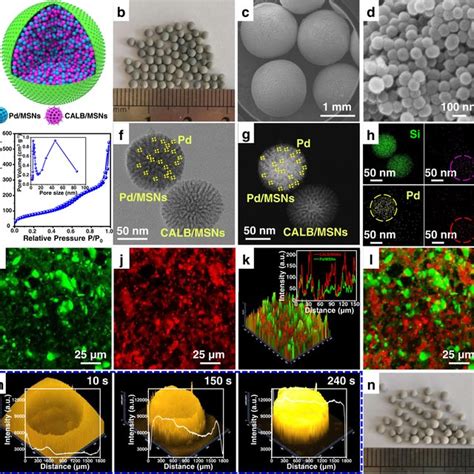 Characterization Of The Sp Based Cascade Catalyst A Structural