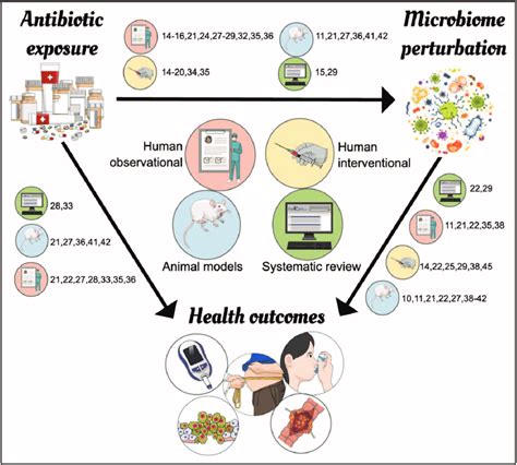 Overview Of Evidence Included Arrows Indicate Direction Of Causality Download Scientific