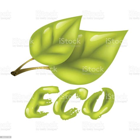 3d 잎 만화 스타일 벡터 일러스트 레이 션에에서 비문 에코 제품 만화 0명에 대한 스톡 벡터 아트 및 기타 이미지 0명 3차원 형태 건강한 생활방식 Istock