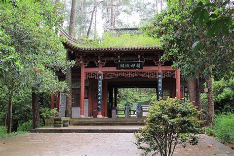 2023蒋母墓道门票 宁波蒋母墓道游玩攻略 蒋母墓道游览攻略路线 地址 门票价格 去哪儿攻略