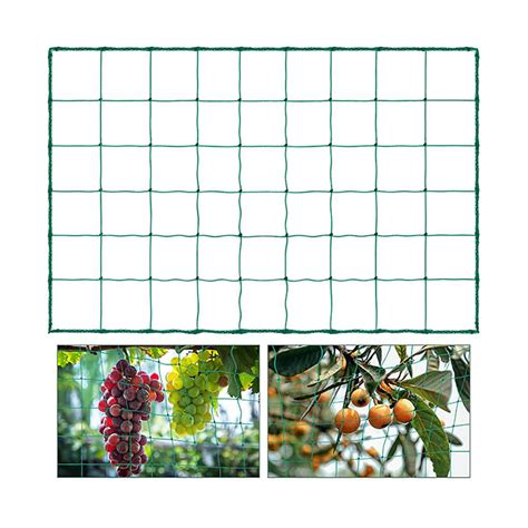 Trellis Netting Xinhui Netting