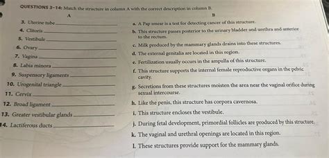 [answered] Questions 3 14 Match The Structure In Column A With The Kunduz
