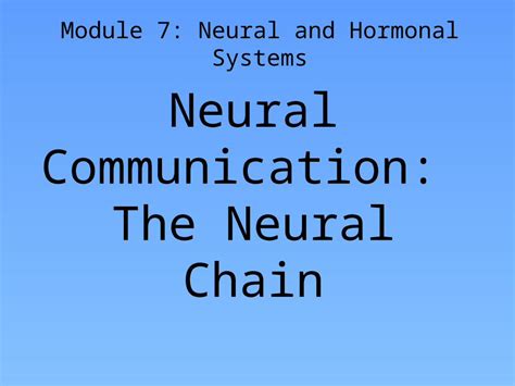 pptx neural communication the neural chain module 7 neural and