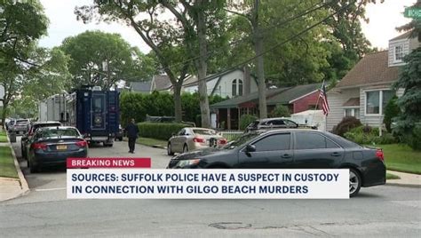 Long Island Serial Killer Lisk Suspect In Custody R