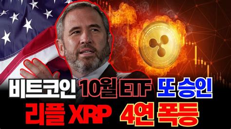 비트코인 완성돼가는 美 대선 시나리오 리플 Xrp 더없이 완벽하다 Youtube