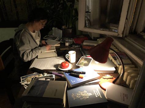 陈丹燕《萨瓦流淌的方向》：世界公民，作家电影文化课澎湃新闻 The Paper