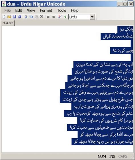 Usage Of MS Word Pad Or MS Word For Changing Look Feel And Printing Text Of Urdu Nigar Unicode