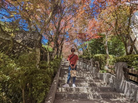 宜蘭三星景點鹿爺爺近距離與水豚跳跳羊及梅花鹿互動的宜蘭新農場 微微小語 旅食生活