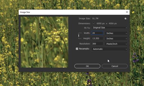 solved live or static captions in indesign 2021 adobe product