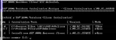 Install SAP HANA Studio HANA Client On A Windows System