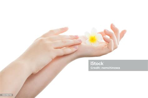 완벽 한 손톱 매니큐어 살롱 흰색 배경에 고립 된 프랑스 매니큐어 후 여성 손 스파 매니큐어 개념 가꿔주기에 대한 스톡 사진 및 기타 이미지 Istock