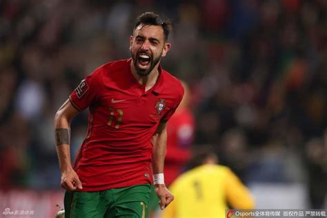 葡萄牙2 0取胜晋级世界杯 B费2球c罗助攻新浪图片