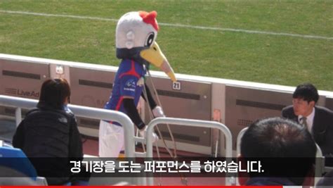 인천 마스코트 두루치기 당하고 퍼포먼스도 했구나 국내축구 에펨코리아