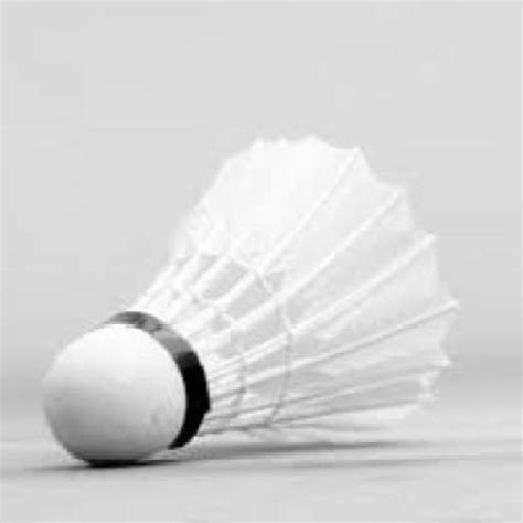 Badminton Object Detection Dataset V1 2024 03 22 10 50pm By