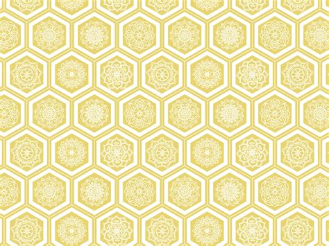 Set Of 5 Turtle Shell Pattern Background Illustrations And Vectors