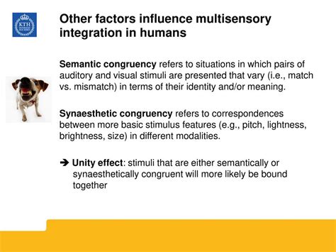 Multisensory Processing An Introduction Ppt Download